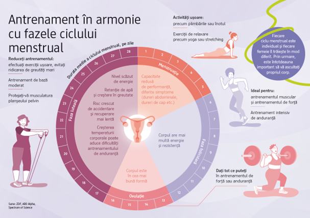 Ciclul menstrual si sanatatea feminina: Informatii esentiale si sfaturi ...
